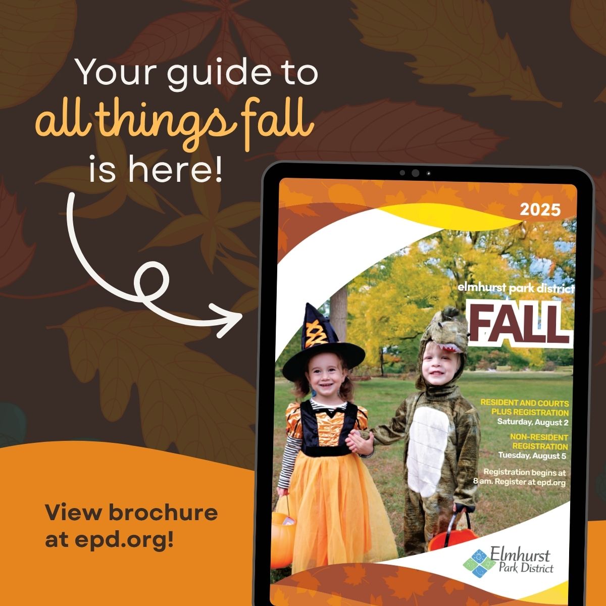 Park District's Fall Brochure now available | Courts Plus